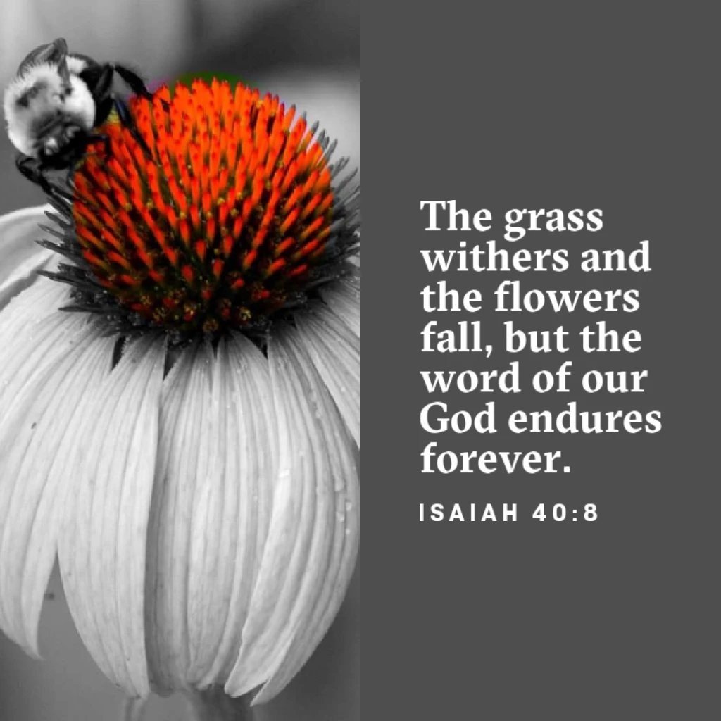 Endures forever… – David Lee